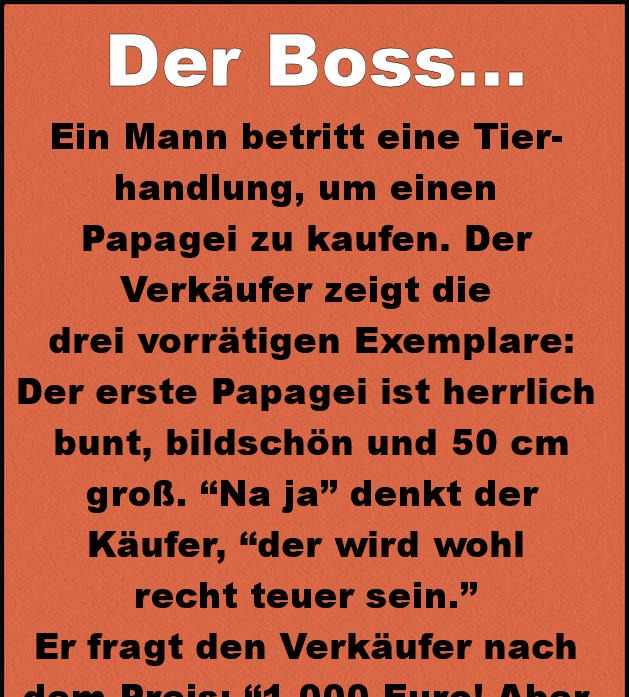 Der Boss... - Facts & News