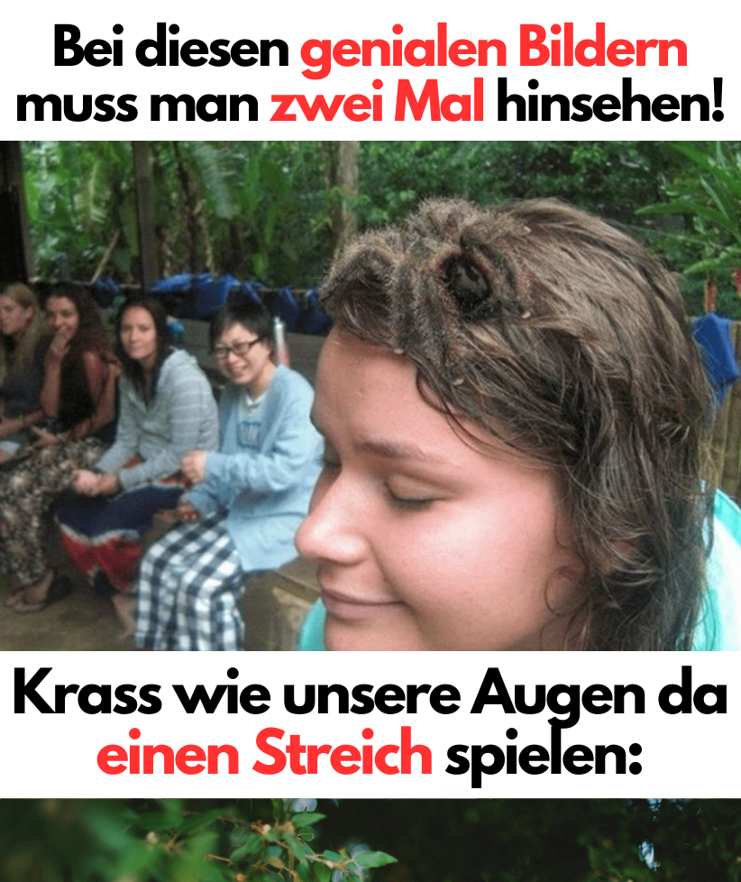 10 geniale Bilder bei denen man 2 mal hinsehen muss! - Facts & News